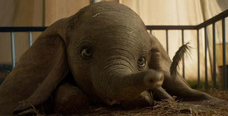 Gambar Baru Dumbo Terbang dengan Telinganya - Dafunda.com