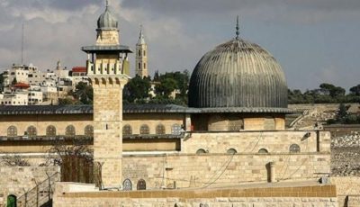 Sapi Merah Lahir di Israel dan Dikaitkan dengan Hari Kiamat, Kenapa?