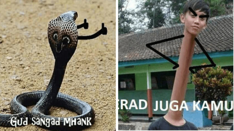 15 Meme Kerad Juga Kamu Ya, Si Ular Yang Jadi Andalan Netizen Indonesia ...