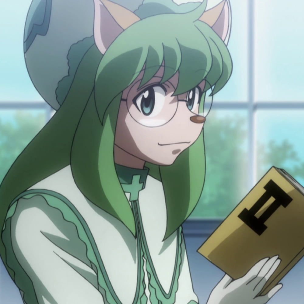 12 Anggota Zodiak Hunter di Anime Hunter x Hunter - Dafunda.com