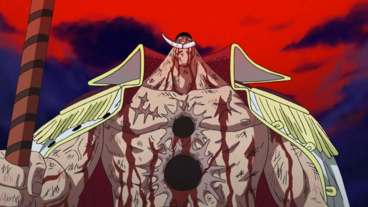 Inilah 5 Alasan Kenapa Shirohige Disebut Manusia Terkuat - Dafunda.com