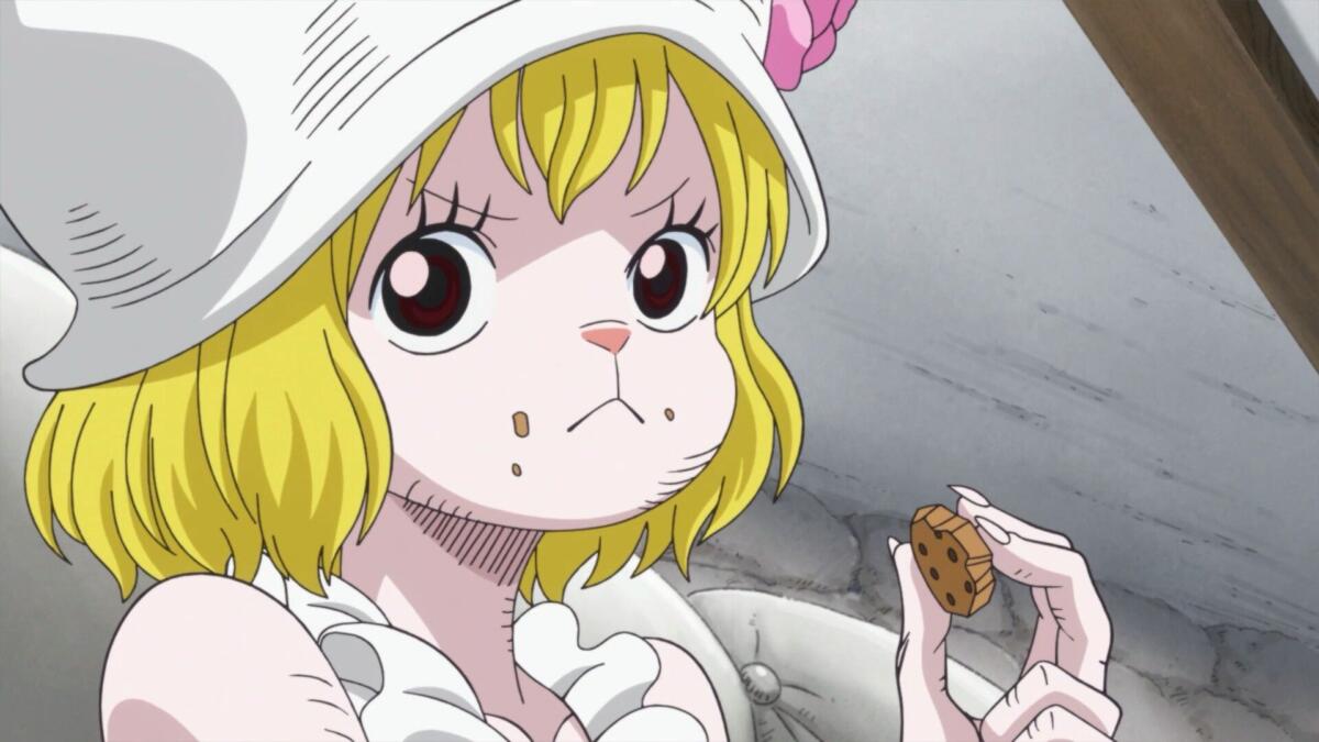 6 Fakta Menarik Carrot, Prajurit Suku Mink di One Piece - Dafunda.com