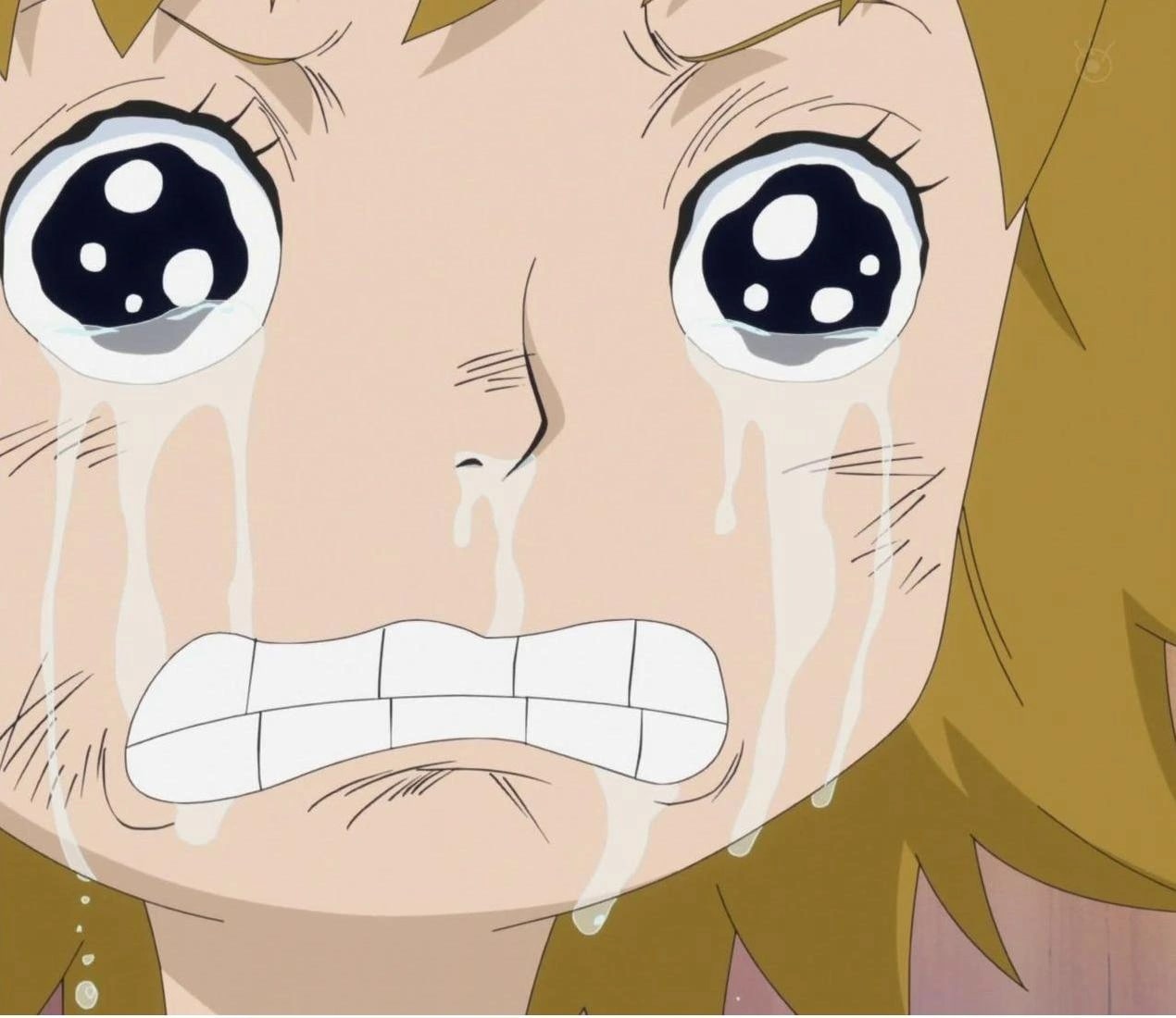 6 Fakta Menarik Koala One Piece, Officer Pasukan Revolusi - Dafunda.com