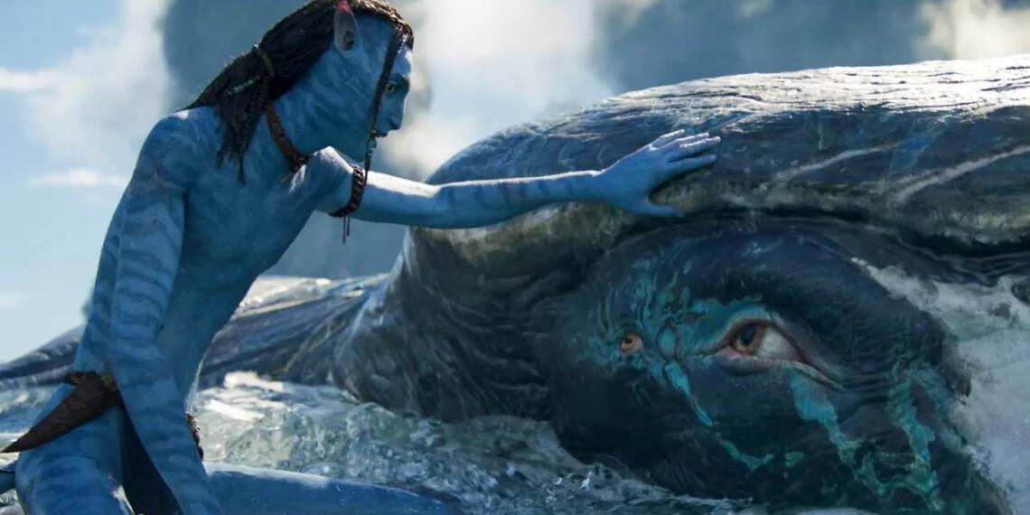 Mengenal Tulkun, Hewan Pintar di Avatar The Way of Water - Dafunda.com