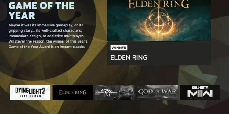 The Steam Awards 2022 Winners List - Dafunda.com