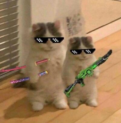 100+ PP Kucing FF Terbaru 2024, Keren dan Lucu! - Dafunda.com