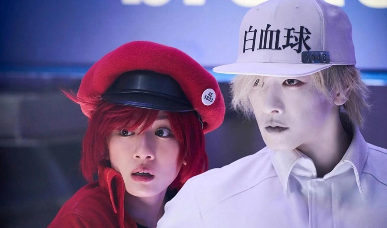 Cells At Work! Live Action Anime Populer, Kehidupan Sel dalam Tubuh ...