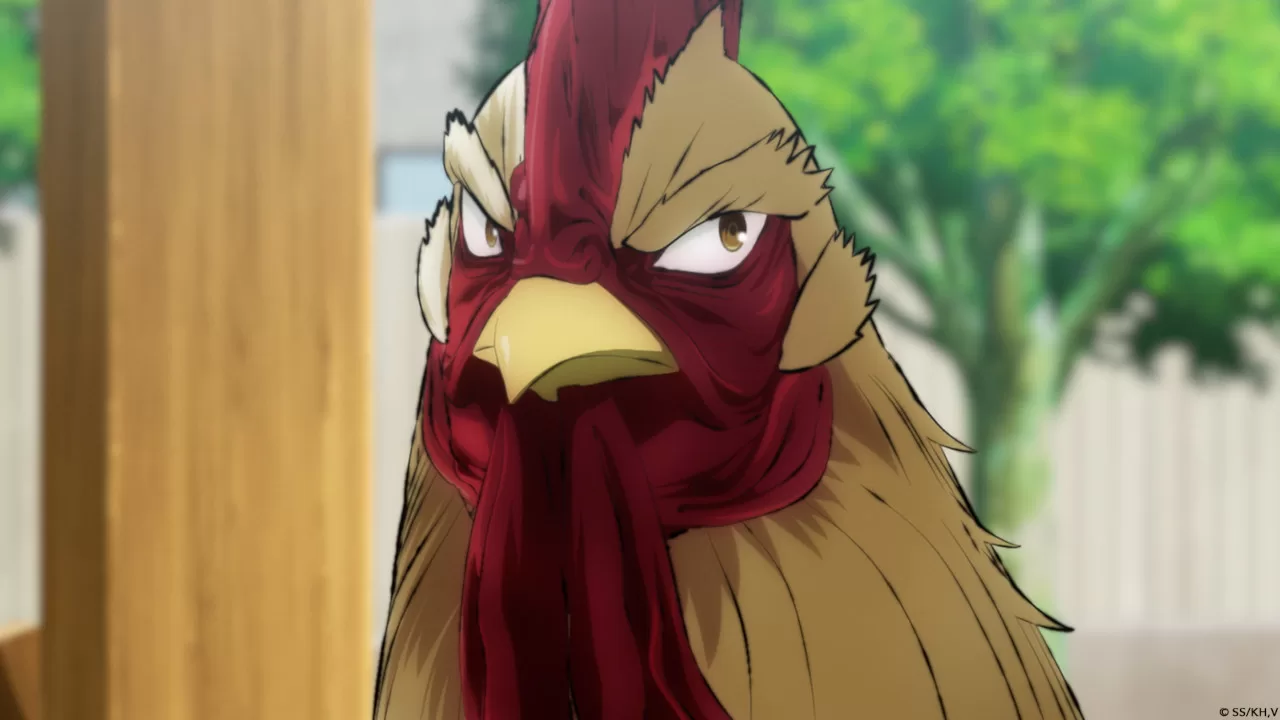 Anime Rooster Fighter Rilis 2026, Bisa Ditonton di Crunchyroll ...